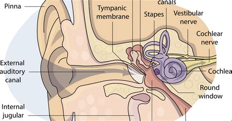 The Styrous® Viewfinder Bppv Vs Labyrinthitis Dix Hallpike Epley