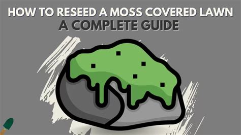 Rotavating Why When And How To Rotavate Lawnexplained