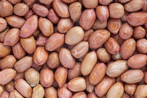 Bold Raw Groundnut Seed At ₹ 100kg Groundnut Seeds In Jamkhandi Id