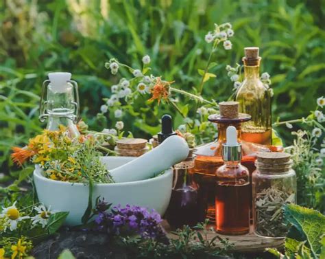 Browse Additive Ingredients Request Botanical Extract Samples Bio