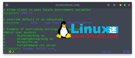 如何优化 Ssh 体验并保护服务器免受未经授权的访问 Linux迷 如何优化 Ssh 体验并保护服务器免受未经授权的访问 Linux迷