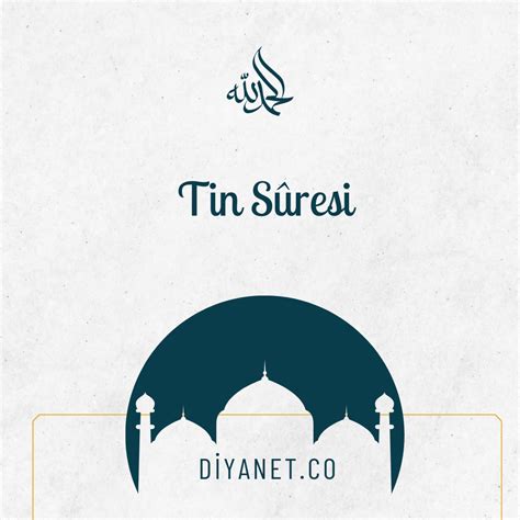 100 Tin Suresi Diyanet1