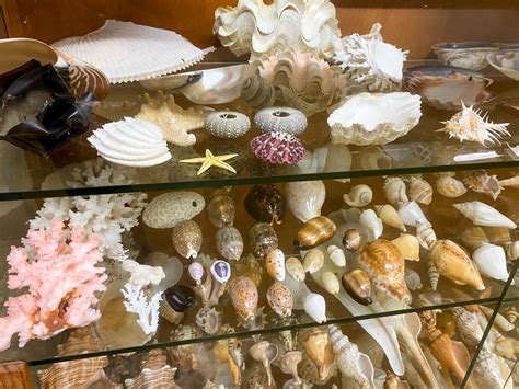 Bundawarrah In The 1940s Martha Clinton Began Assembling Her