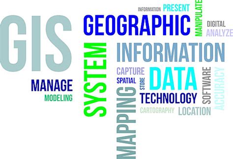Word Cloud Business Analysis Needs Identifying Planning Vector Needs Identifying Planning Png