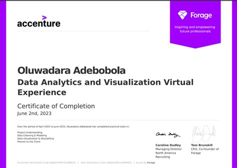 Unveiling The Insights A Data Analysis Journey At Accenture
