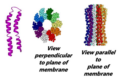 Atp Synthase Bioc2580 Introduction To Biochemistry