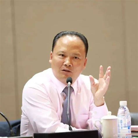 刘汉元：连续10年为光伏产业健康发展鼓与呼电网能源元代