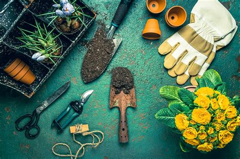 weeding the data garden how rulex platform cultivates quality rulex