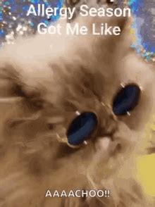 Allergies S Tenor Allergies S Tenor