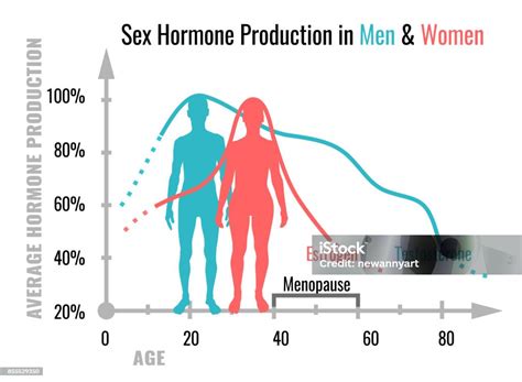 Hormone Production Chart Stock Illustration Download Image Now Sex