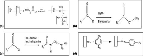 Amine Modifications Of Polypropylene Films By Gamma Radiation To Be