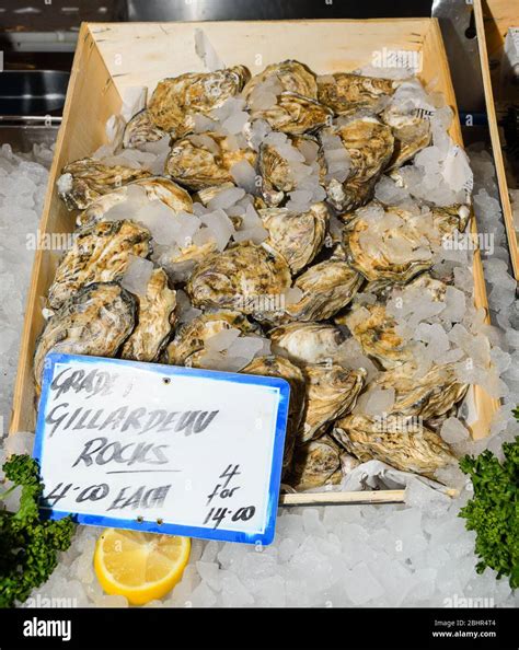 Oyster Is The Common Name For A Number Of Different Families Of Salt