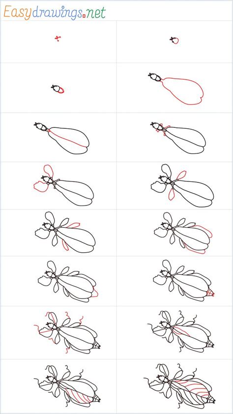 How To Draw A Leaf Insect Step By Step