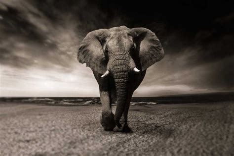 3 Key Features In Edb Postgresql 15 Infoworld