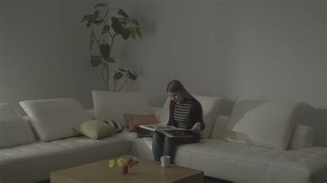 Using Picture Profile Presets With S Log Shooting With S Log For