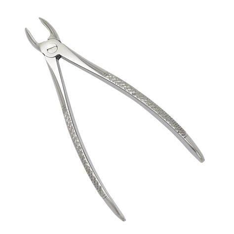 Pediatric Extracting Forceps Fig 37 Upper Incisors Extraction For Ch