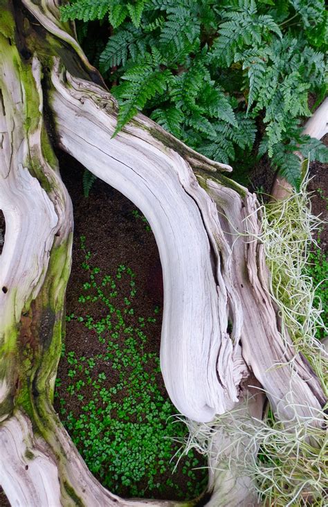 organic shapes