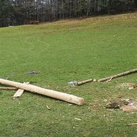 Frontal View Ct Scan Of Thorax And Abdomen With Enterothorax Liver