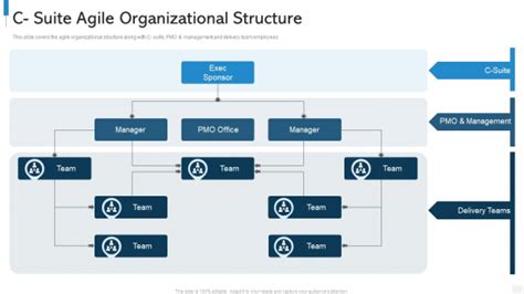 Agile Org Chart It C Suite Agile Organizational Structure Structure PDF PowerPoint Templates