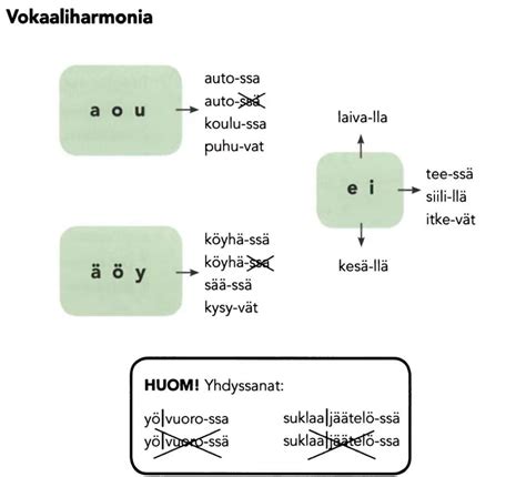 芬兰语知识课堂｜什么是元音和谐？ 知乎