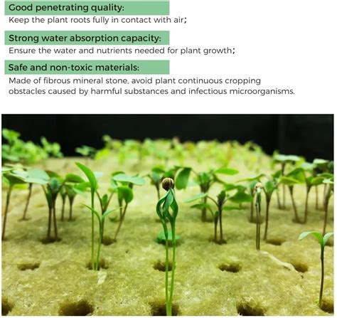 Wool Planting Cubes Droponic Nutrients Garden Growing System Hydroponic