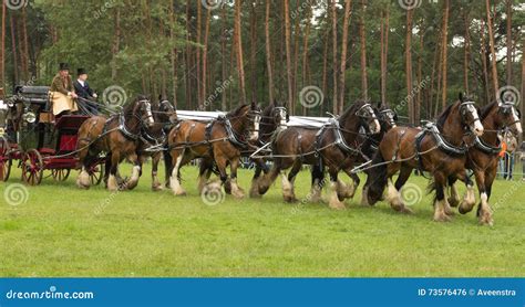 Weight Pulling Science Model Theory Project Model Displayed In Park In