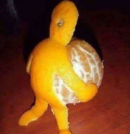 Top Memes De Naranja En Español Memedroid