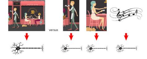 hippocampus neurons act as brain glue for episodic memories