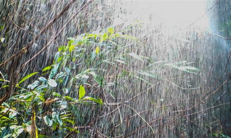 The Spiritual Meaning And Symbolism Of Rain