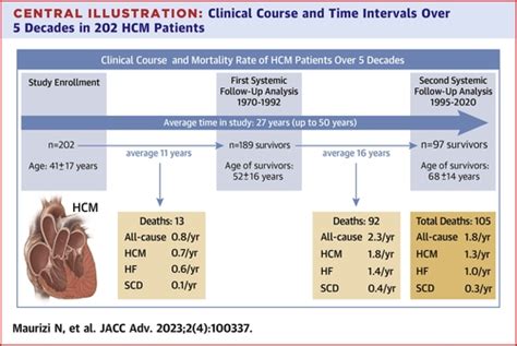 Lifetime Clinical Course Of Hypertrophic Cardiomyopathy Outcome Of The