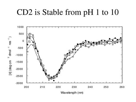 Ppt Structural Analysis Of Protein Structure Powerpoint Presentation