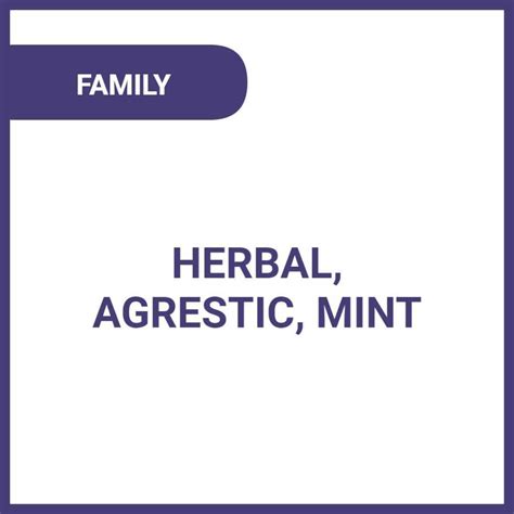 Alpha Terpineol Aroma Chemical For Perfumery Shopee Malaysia