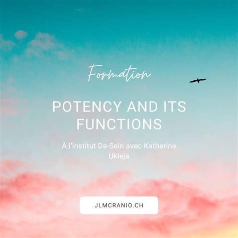 Jlmcranio Therapiecraniosacrale Craniosacrale Collongebellerive