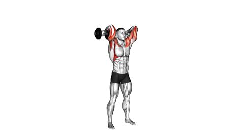 Dumbbell Curl Press Extension Male Exercise Guide And Tips