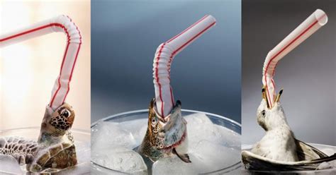 This Campaign Shows How Your Plastic Straws Suck The Life Out Of Ocean