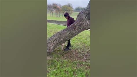 Cha Cha Tree Climbing Youtube