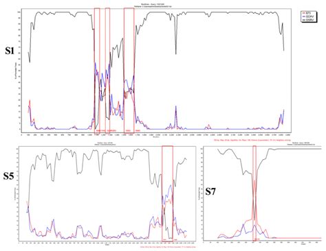 Recombination Analysis By Simplot Of The Genomic Segments 1 S1 5