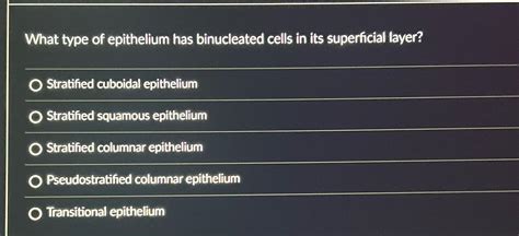 Solved What Type Of Epithelium Has Binucleated Cells In Its