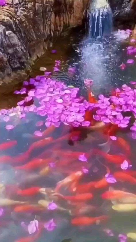 Top 20 Most Beautiful Places In The World Most Beautiful Places In