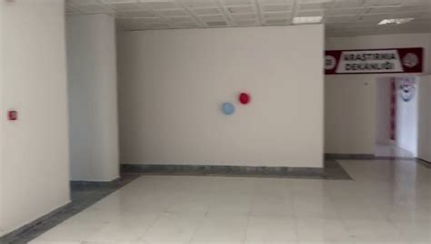 Balloon Object Detection Dataset By Buse Project