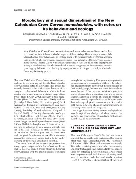 Pdf Morphology And Sexual Dimorphism Of The New Caledonian Crow