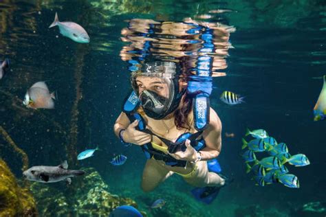 Excursión A Tulum Y Xel Há Desde Riviera Maya Playa Del Carmen Civitatis