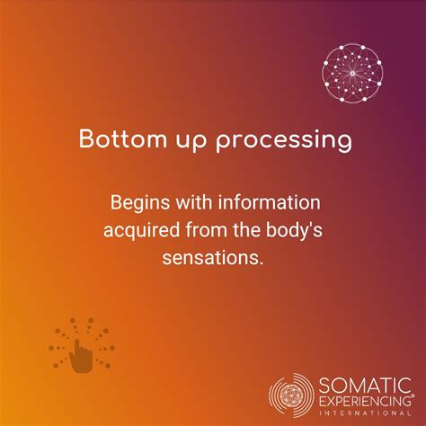 Somaticexperiencing Therapists Somatic Somatics Trauma