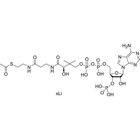 Acetyl Coa Structure