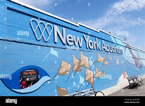 New York Aquarium Coney Island Brooklyn New York Usa Daytime 2025