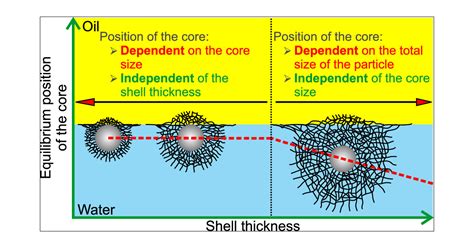 Dynamics And Wetting Behavior Of Coreshell Soft Particles At A Fluidfluid Interface Langmuir
