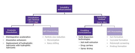 Api Solubility And Dissolution Enhancement Via Formulation