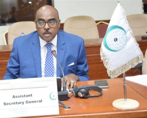 Oic Assistant Secretary General For Humanitarian Affairs And Oic Sgs