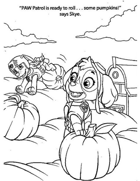 Skye Paw Patrol Badge Coloring Coloring Pages