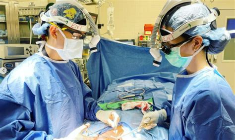 Department Of Otolaryngology Head And Neck Surgery Bcm